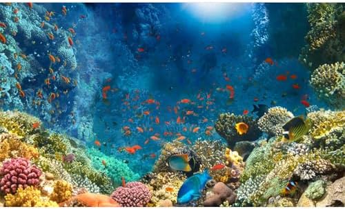 Amazon.com: Under The Sea Aquarium Background Colourful Corals Reefs ...