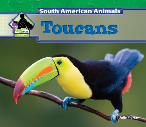 Toucans (South American Animals): Murray, Julie: 9781624031946: Amazon ...