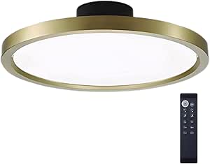 Amazon.co.jp: Daiko DCL-41991 LED Ceiling Light, Indirect Light ...