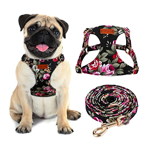 Pug Harness – The 15 best products compared - Wild Explained