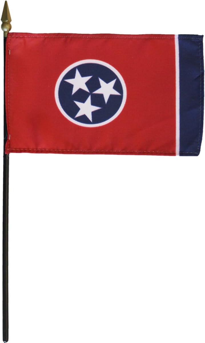 Amazon.com : Minnesota (2024) - 4 in x 6 in State Stick Flag : Patio ...