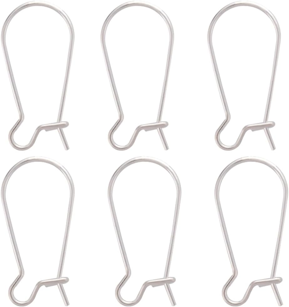 Beebeecraft 1 Box 20Pcs Pure Titanium Earring Fish Hooks Silver Earring ...