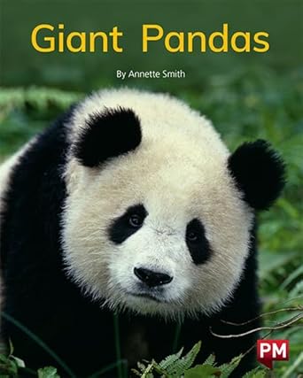 Giant Pandas: Amazon.co.uk: 9780170330008: Books