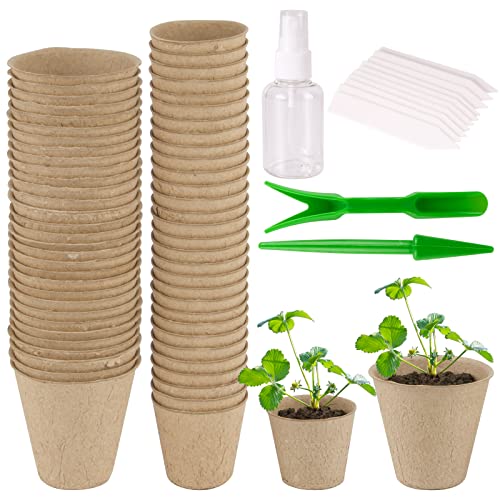 Mejores macetas biodegradables baratas | Me pica la curiosidad