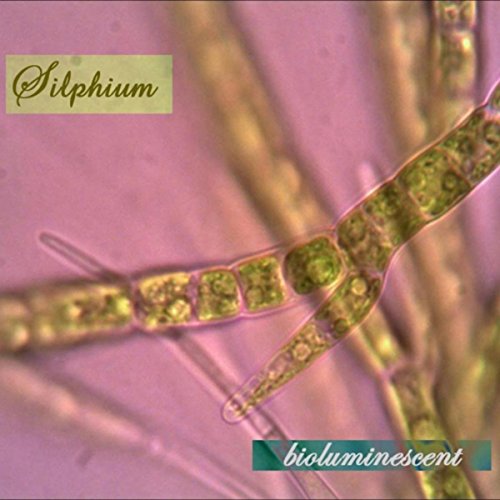 Play Bioluminescent by Silphium on Amazon Music