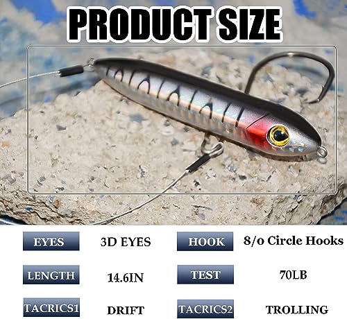 Snapklik.com : Catfish rig,Demon Dragon Catfish Floats,Santee Cooper ...