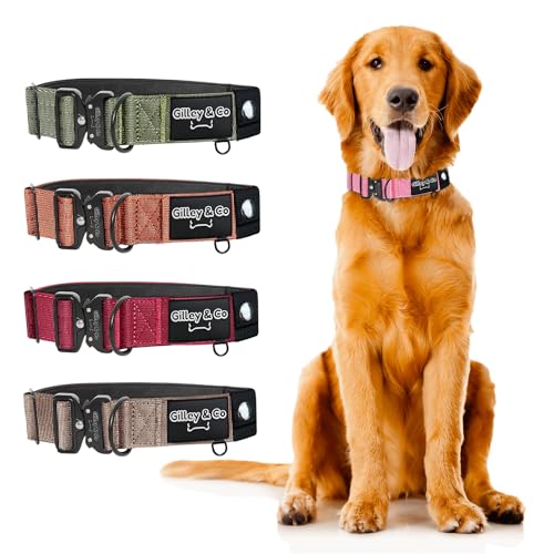 Quick Release Dog Collar – The 15 best products compared - Wild Explained