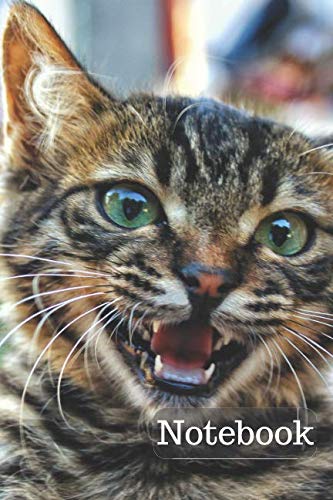 Notebook: with Cat on Cover. Notebook for Coloring Drawing and Writing ...