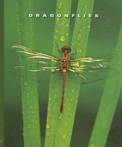 Dragonflies (World of Insects): Lockwood, Sophie: 9781592968213: Amazon ...