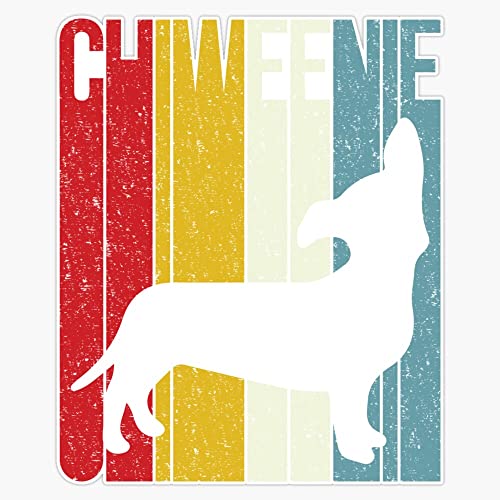 Adorable Chiweenie Pictures and Top 10 Must-Have Products for Your ...