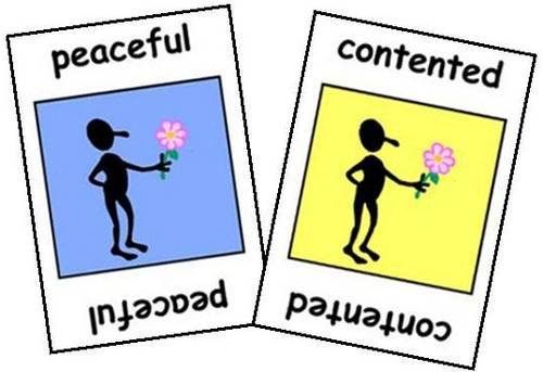 Emotions Snap: Amazon.co.uk: Wilson, Eve: 9781907370908: Books