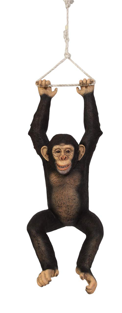 Amazon.com: AFD Home Hanging Monkey Statue Jungle Jimmy : Home & Kitchen