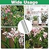 Amazon.com : 10pcs Green Plant Support Stakes with 15pcs Clips ...