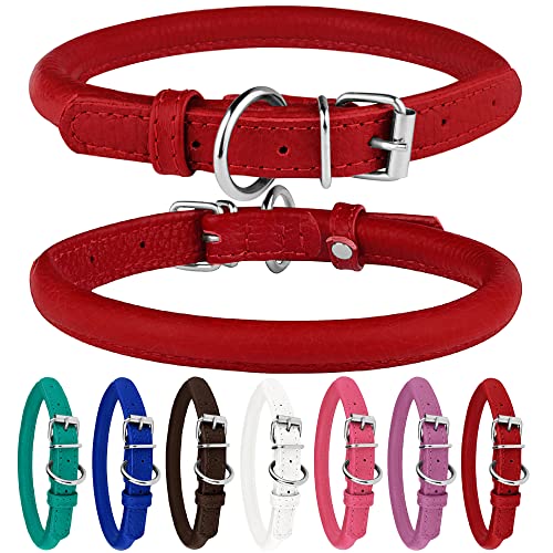 Top 10 Best Rolled Leather Dog Collar : Reviews & Buying Guide - Katynel