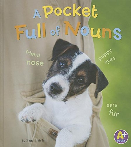 A Pocket Full of Nouns (A+ Books): Blaisdell, Bette: 9781476539386 ...