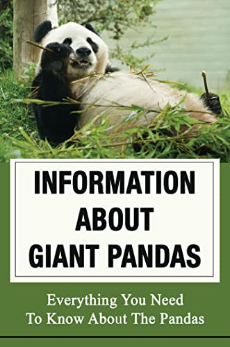 Information About Giant Pandas: Everything You Need To Know About The ...