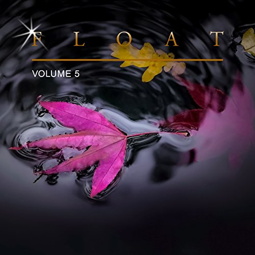 Amazon.com: Float, Vol. 5 : VARIOUS ARTISTS: Digital Music