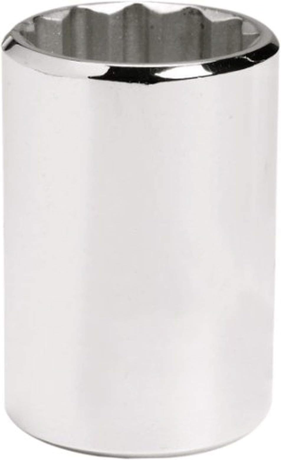 Amazon.com: Assenmacher Specialty Poly Drive #10 Socket for VW VW5220 ...