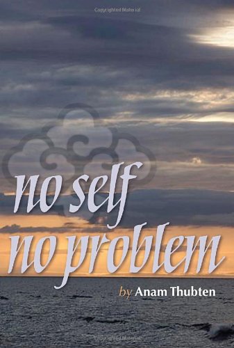 Amazon.com: No Self No Problem: Awakening to Our True Nature ...