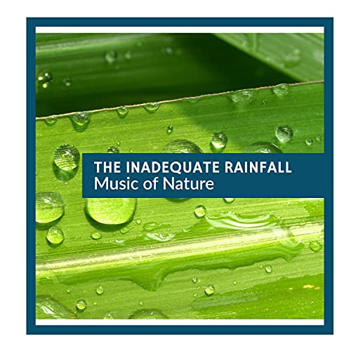 Play The Inadequate Rainfall - Music of Nature by VARIOUS ARTISTS on ...