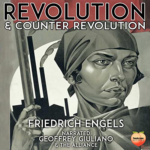 Amazon.com: Revolution & Counter Revolution (Audible Audio Edition ...