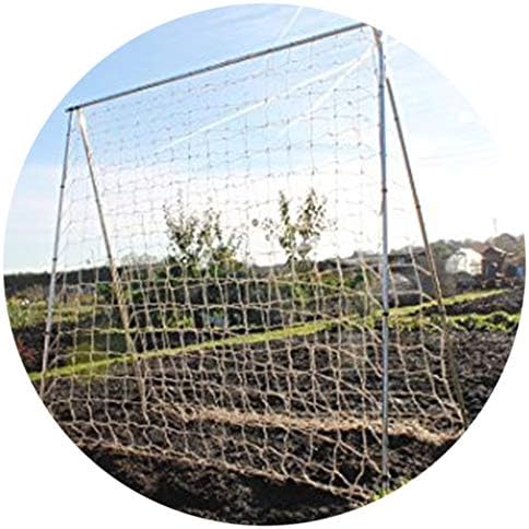 GardenSkill Pea and Runner Bean Wigwam Teepee - Garden Support Frame ...