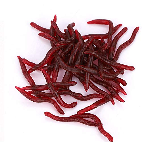 10 Best rubber worms for bass fishing (That Work!)