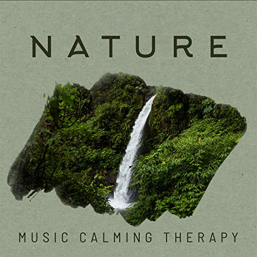 Écouter Nature Music Calming Therapy: 2020 Nature & Piano Music Set for ...