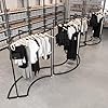 Amazon.com: Etlegor Black Half Round Clothes Rack, Clothing Display ...