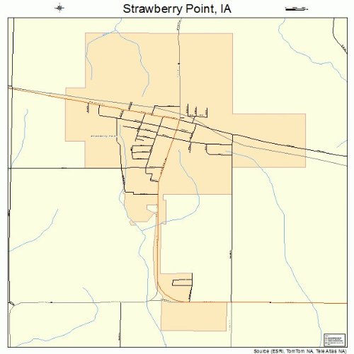 Large Street & Road Map of Strawberry Point, Iowa IA - Printed poster ...