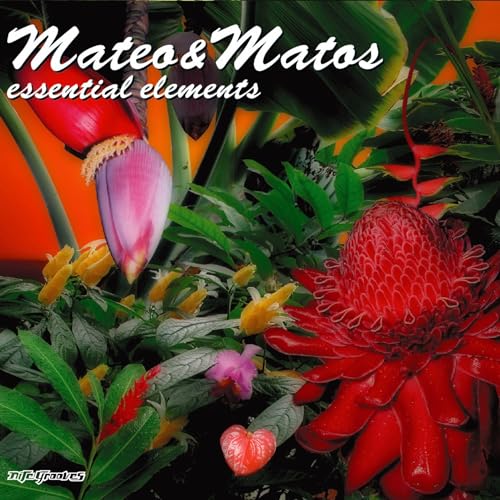 Play Essential Elements by Mateo & Matos on Amazon Music
