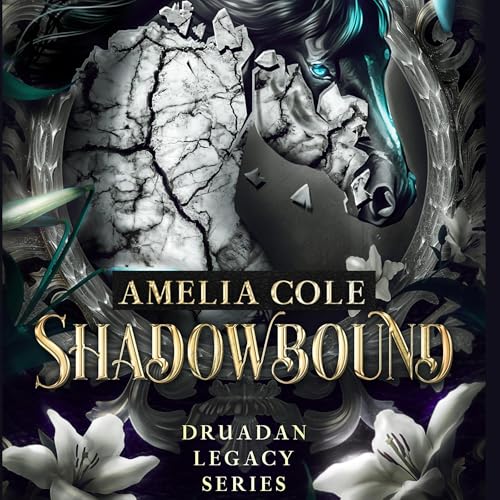 Amazon.com: Wielder of Shadows: Daughter of Darkness, Book 1 (Audible Audio Edition): Allie Cole ...