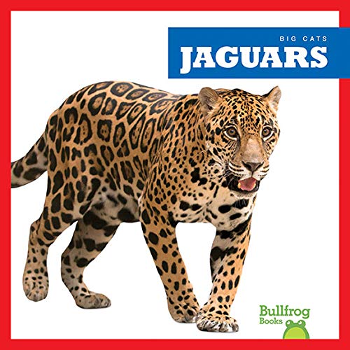 Jaguars (Bullfrog Books: Big Cats): Marie Brandle: 9781645277217 ...