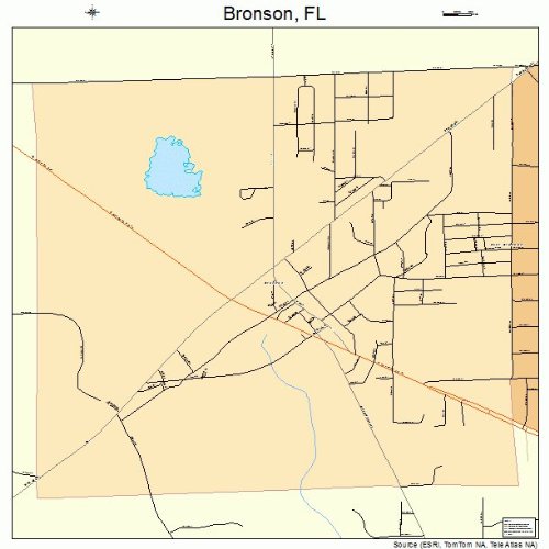 Large Street & Road Map of Bronson, Florida FL - Printed poster size ...