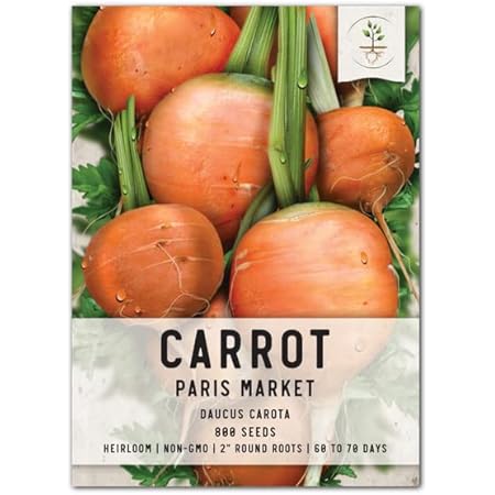 Amazon.com : David's Garden Seeds Carrot Atlas 1133 (Orange) 200 Non ...