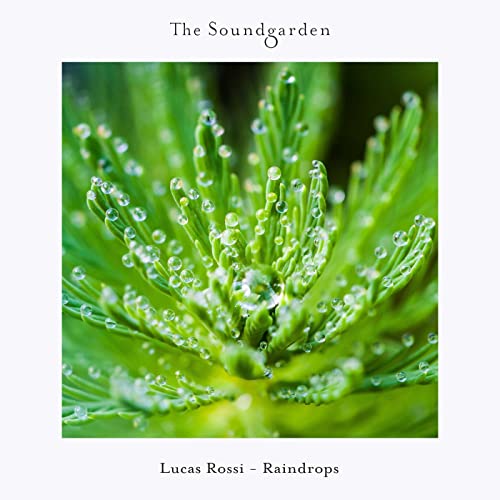 Écouter Raindrops par Lucas Rossi sur Amazon Music Unlimited