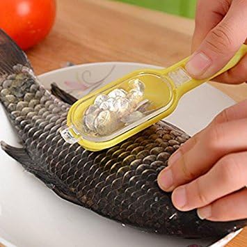praktischen Skala lachs Messer abkratzen von Rasierer Bürste Waage ...
