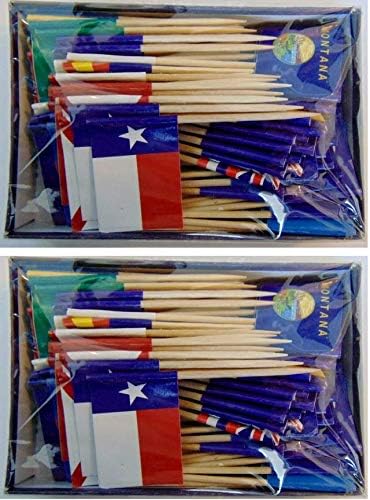 Amazon.com : Consummate 50 State Flags Set Small Mini Hand Held Stick ...