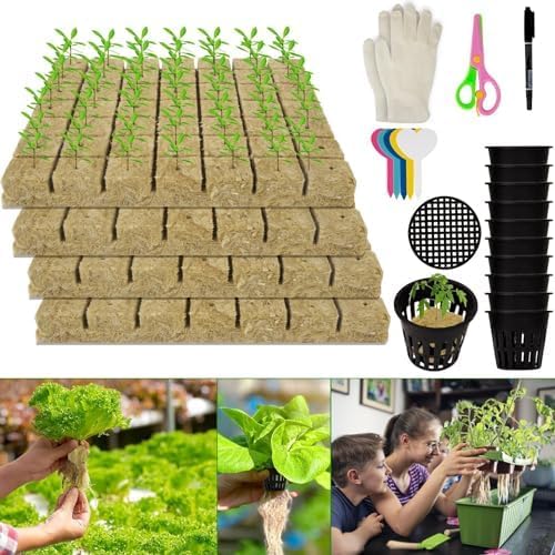 Amazon.com : 1.5" Rockwool Cubes, Starter Plugs Stonewool Grow Cubes ...
