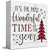 Amazon.com: It's The Most Wonderful Time of The Year Wood Box Sign ...