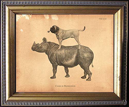 Amazon.com: Mastiff Dog Riding Rhino Vintage Collage Semi-Matte Photo ...
