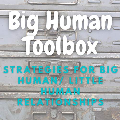 Big Human Toolbox : Todd and Randi: Amazon.in: Audible Books & Originals