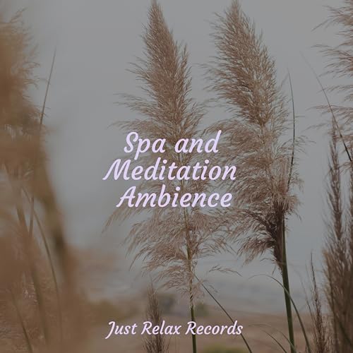 Play Spa and Meditation Ambience by Exam Study Classical Music ...