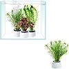 Amazon.com: Wzttdm 8 Set Anti-Floating Ceramic Aquarium Plant Rings ...