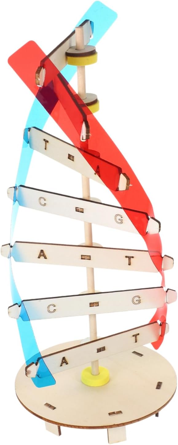 Milisten DIY DNA Model Kit Wooden Double Helix Structure Learning Model ...