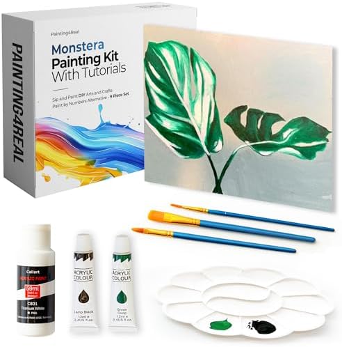 Amazon.com: Painting4Real DIY Art Painting Kit for Adults with Video ...