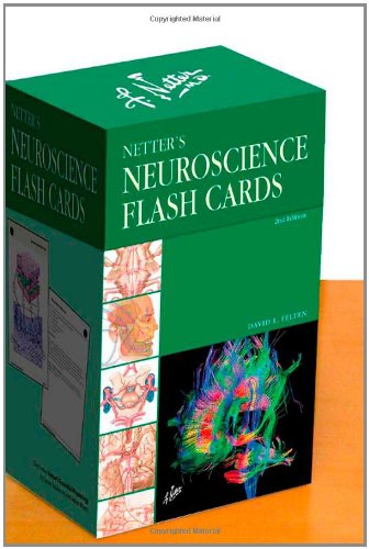 Netter's Neuroscience Flash Cards: 9781437709407: Medicine & Health ...