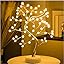 Buy Xenith 36 LED Pearl Tabletop Bonsai Tree Lamp, Touch Switch, USB ...