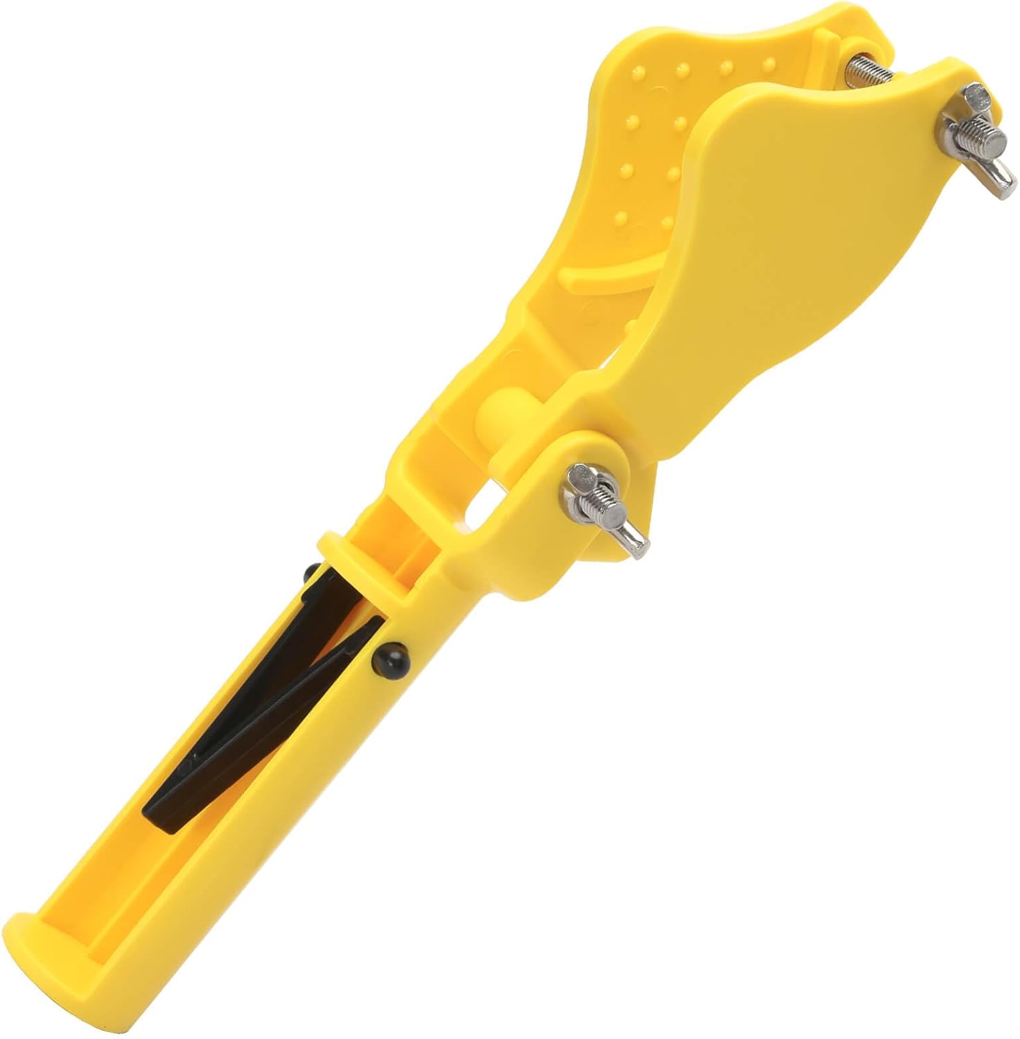 Amazon.com : YAORIK Swimming Pool Stain Remove Sanitizer Holder with EZ ...