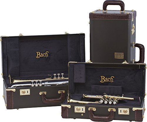 The 23 Best Bach Trumpets of 2026 [Verified] - Cherry Picks